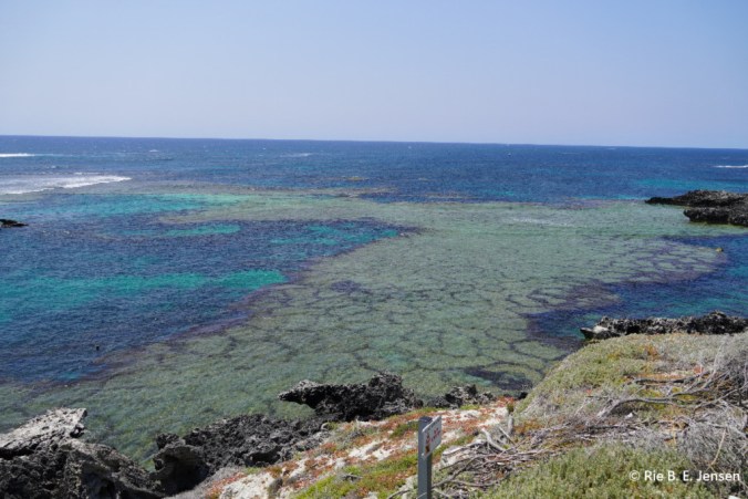 Rottnest Island: A day trip on bicycle and meeting the Quokka ...