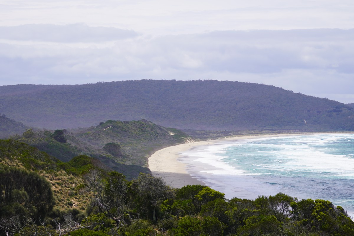Australia: Outstanding hikes and wildlife encounters on Bruny Island ...
